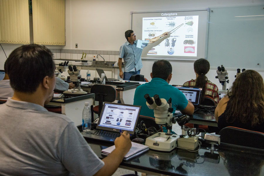 Mestrado Profissional em Defesa Sanitária Vegetal da UFV inicia sua terceira turma | Programa de ...